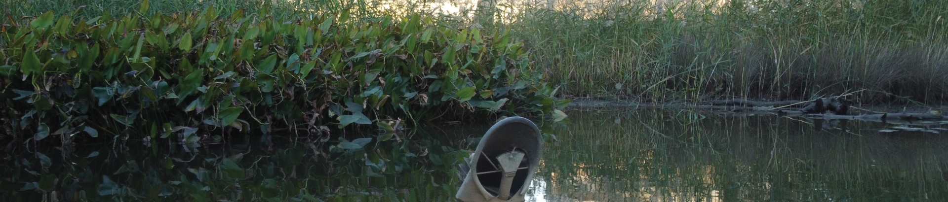 Conservation and Ecosystem Management students Breeding Program of ...